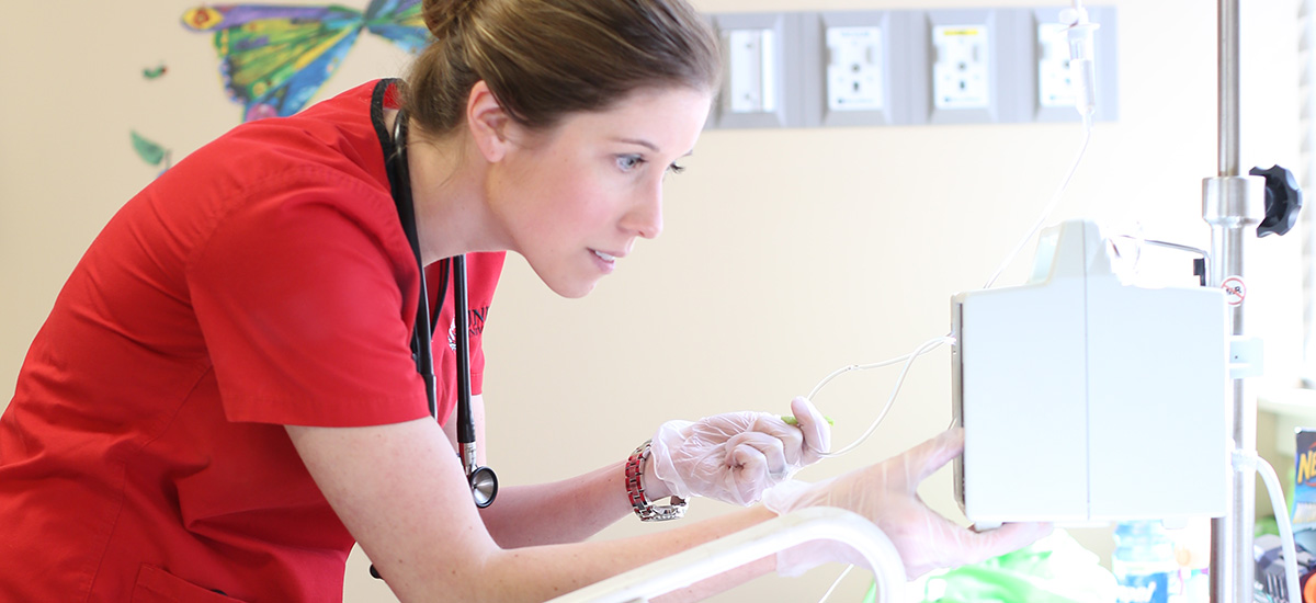 Adult Studies | Academics | Union University, a Christian College in ...