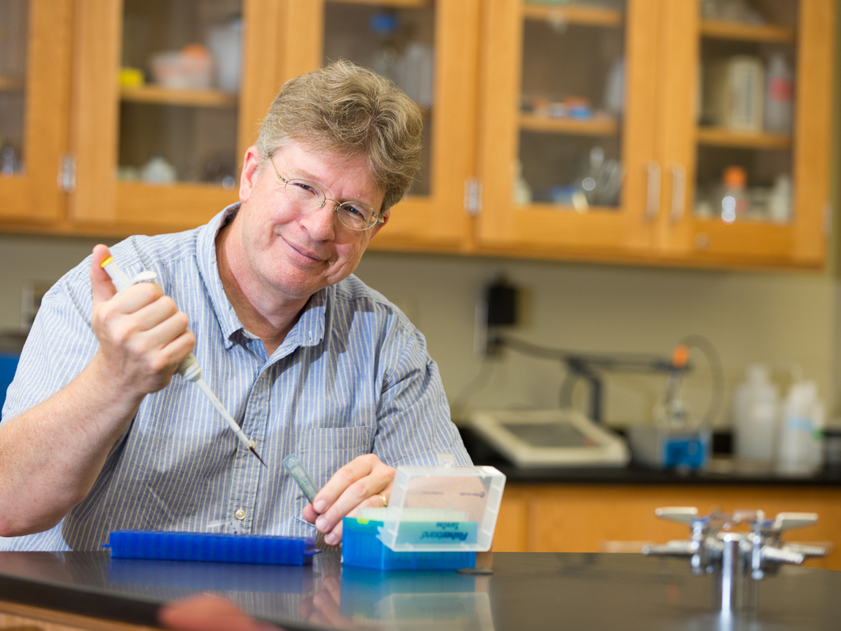 Mark Bolyard | Union University, a Christian College in Tennessee