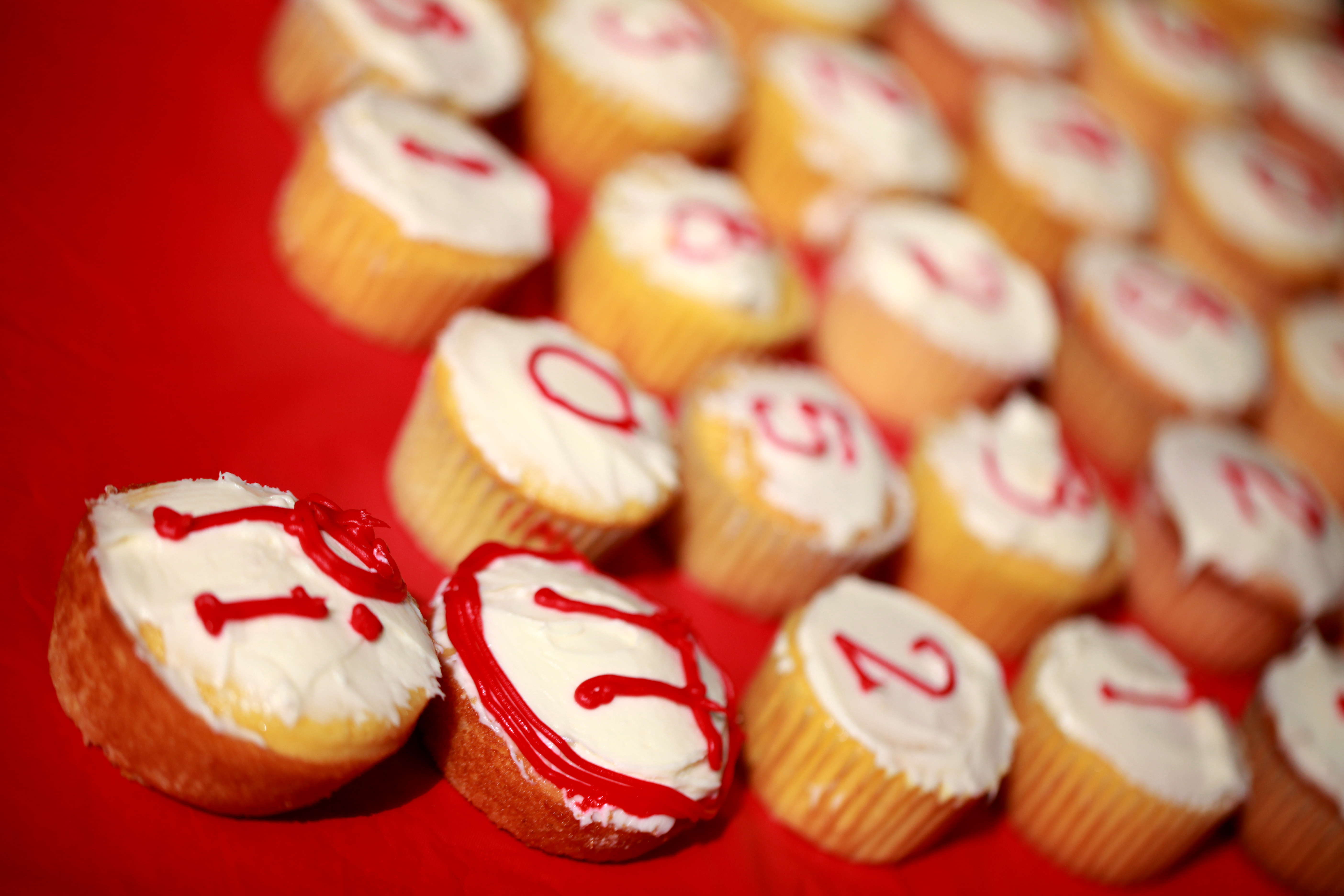 Physics Photo Album | The Union Photo Project | Union University, a ...