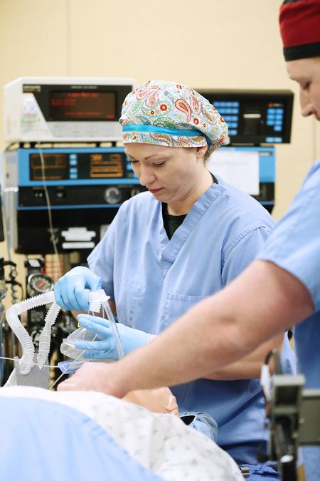 Master of Science in Nursing Photo Album | The Union Photo Project ...