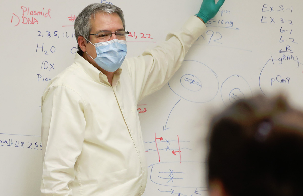 Genetic Counseling | Union University, a Christian College in Tennessee